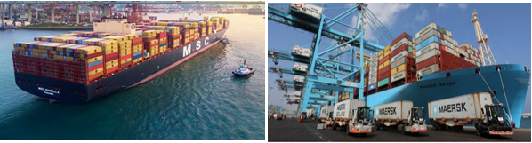 HMM 보유선복량, 세계 상위랭커 선사에 크게 못미쳐...1위 MSC의 1/7 수준 불과